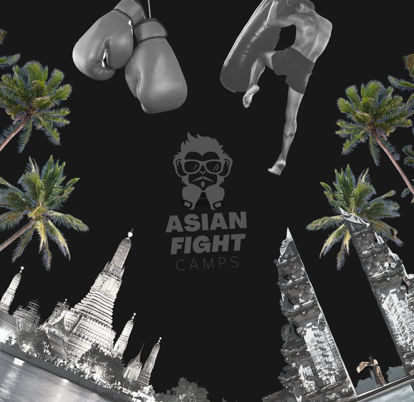 Asian Fight Camps – O nas | Obozy Muay Thai, MMA, Boks